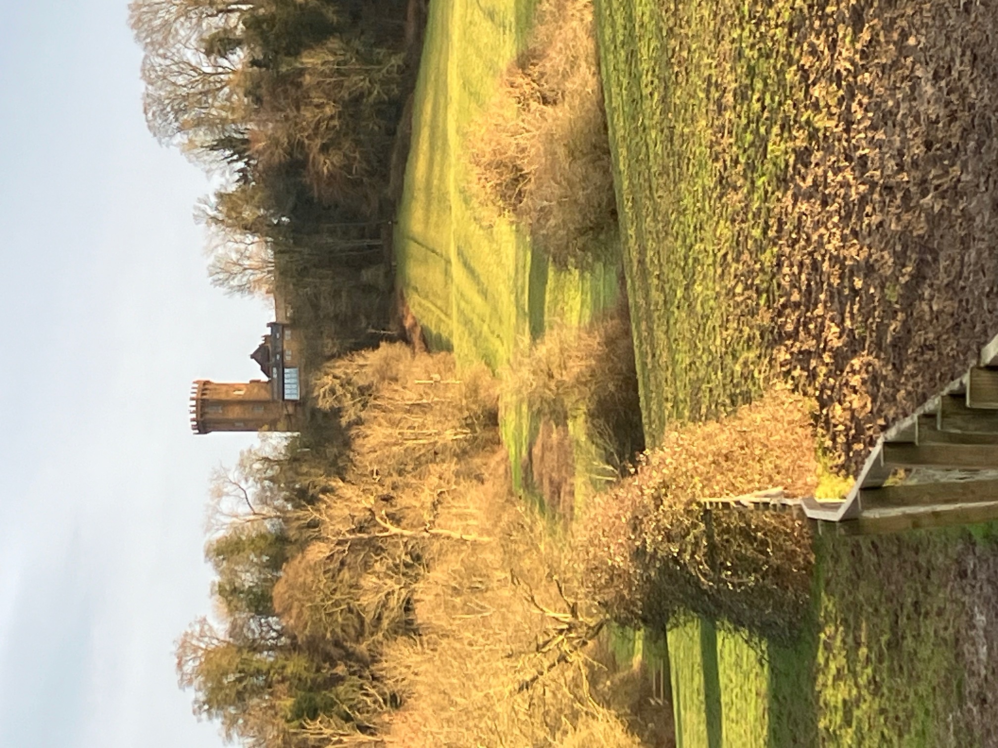 Radway tower NH - Cotswolds National Landscape