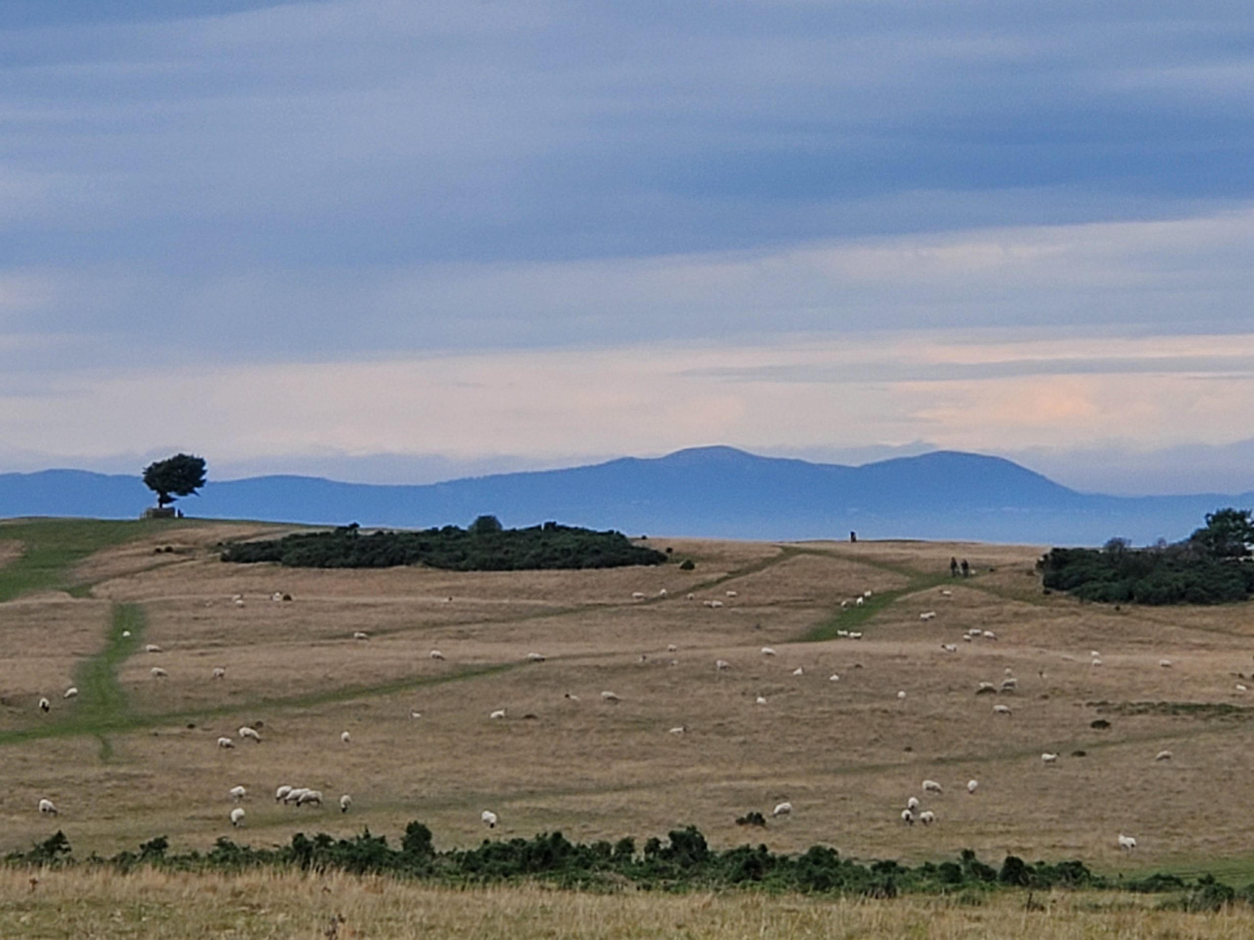 Shorter and Steadier 2025-1 Cleeve Common - Cotswolds National Landscape